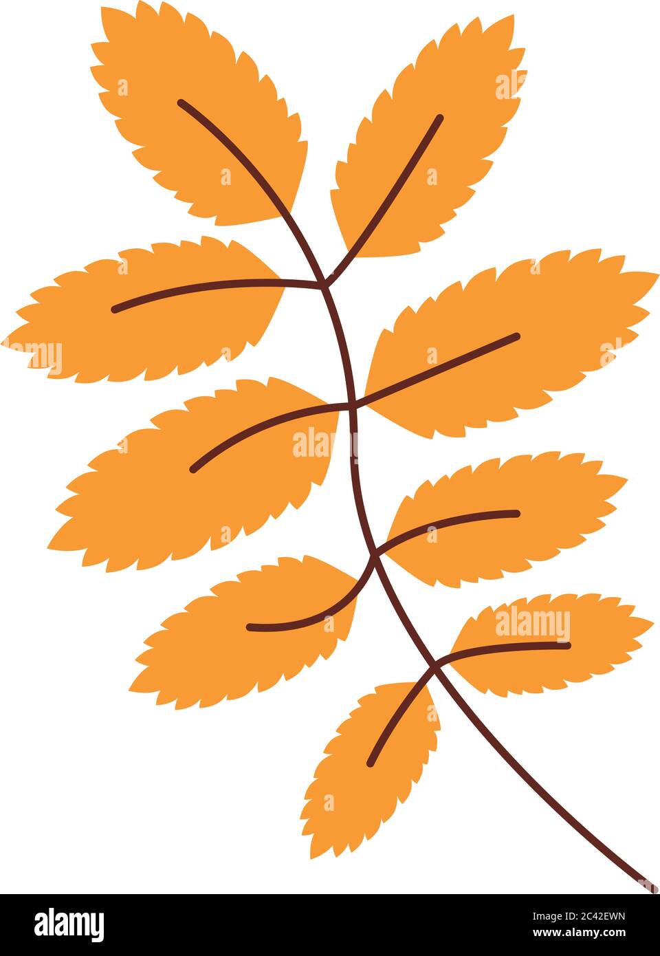 Isolated natural leaf design of Floral nature plant garden ornament ...