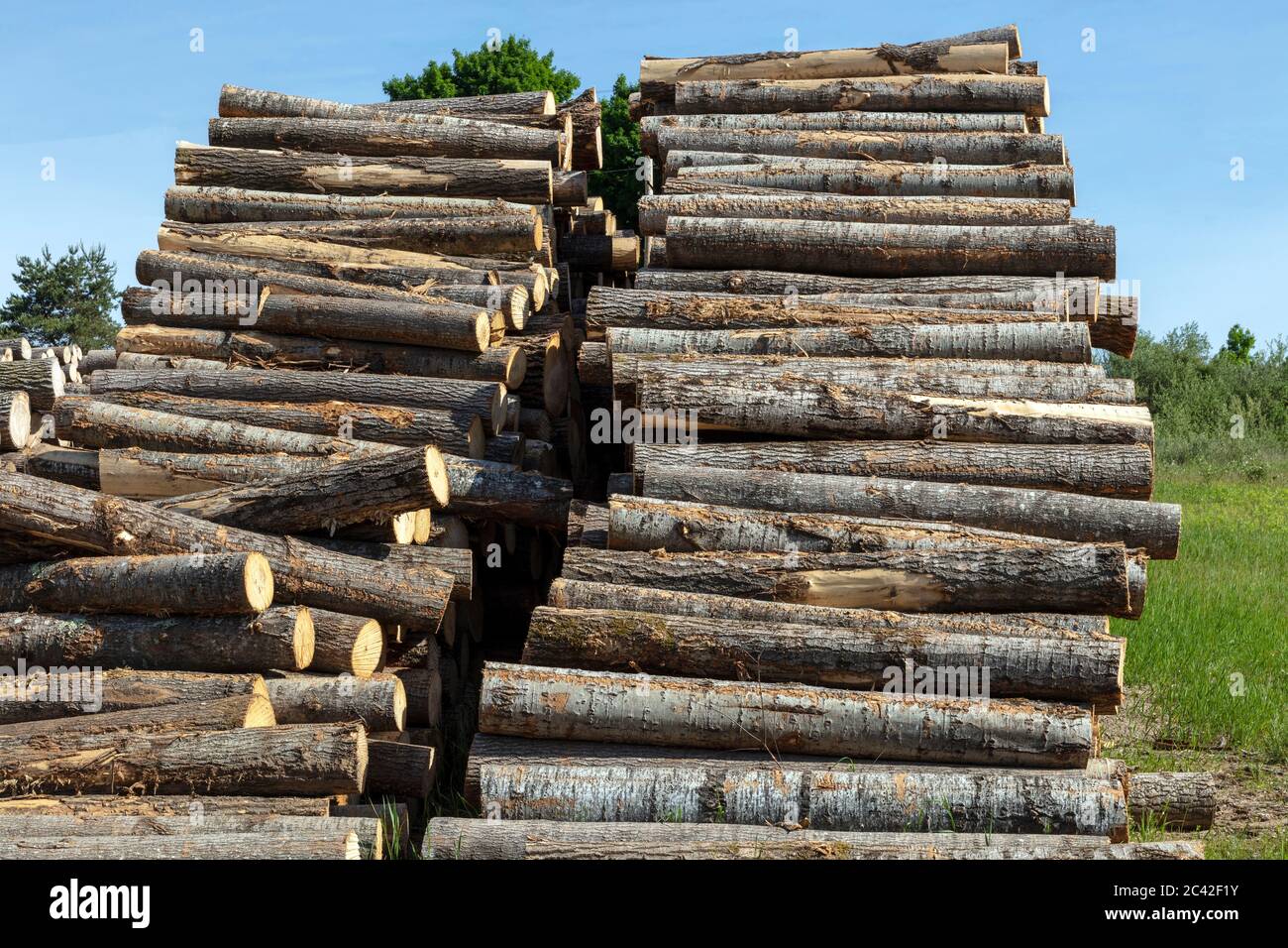 Stacked cut logs, Sawmill operation, E USA, by James D Coppinger ...