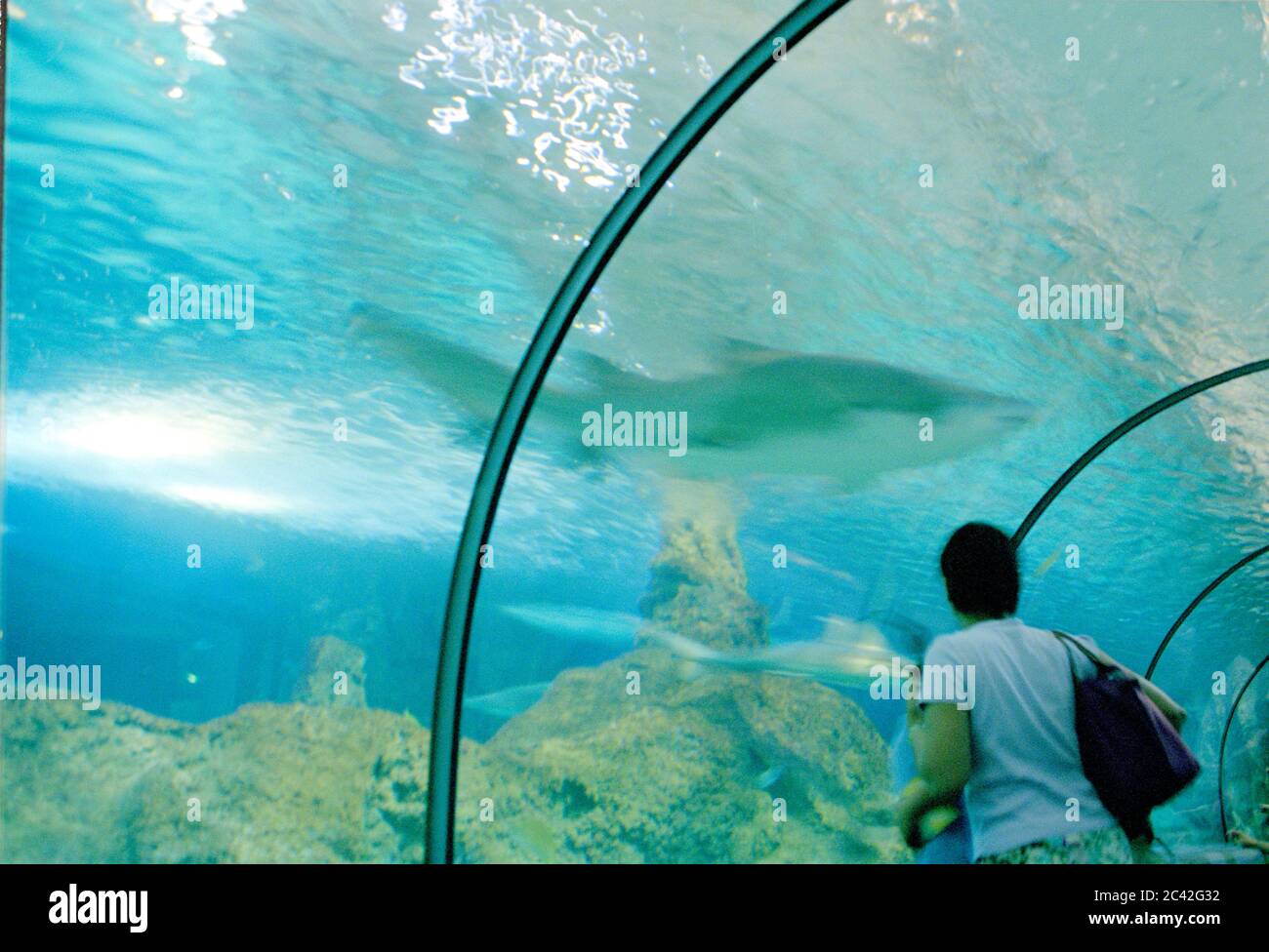 Gauze tube hi-res stock photography and images - Alamy