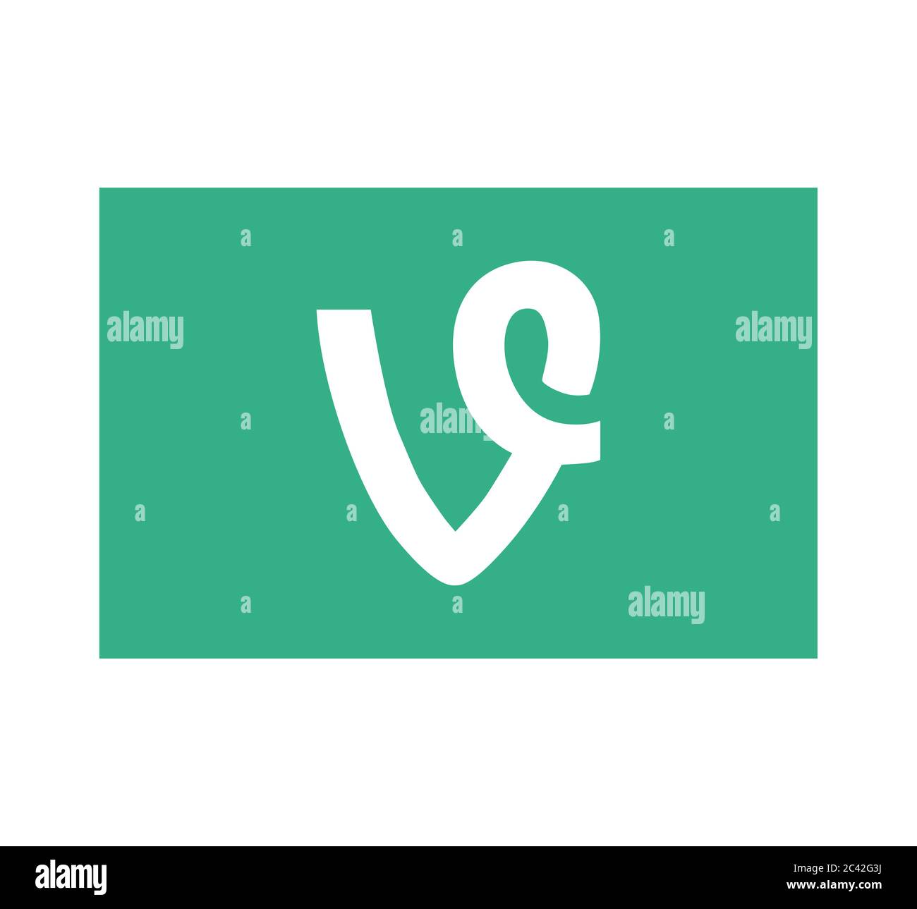 Vine App Logo Transparent