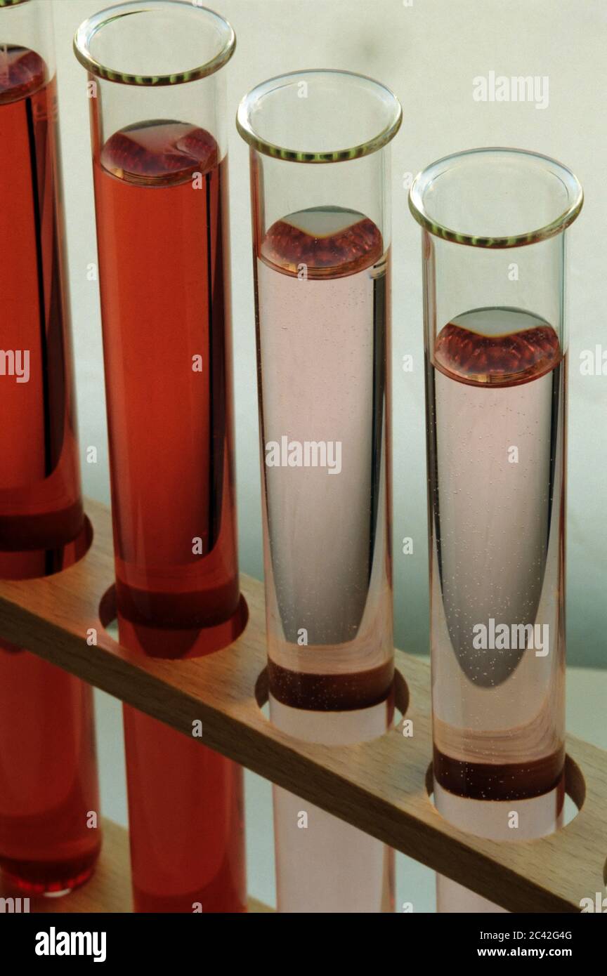 Test tubes in a holder - laboratory - science Stock Photo - Alamy