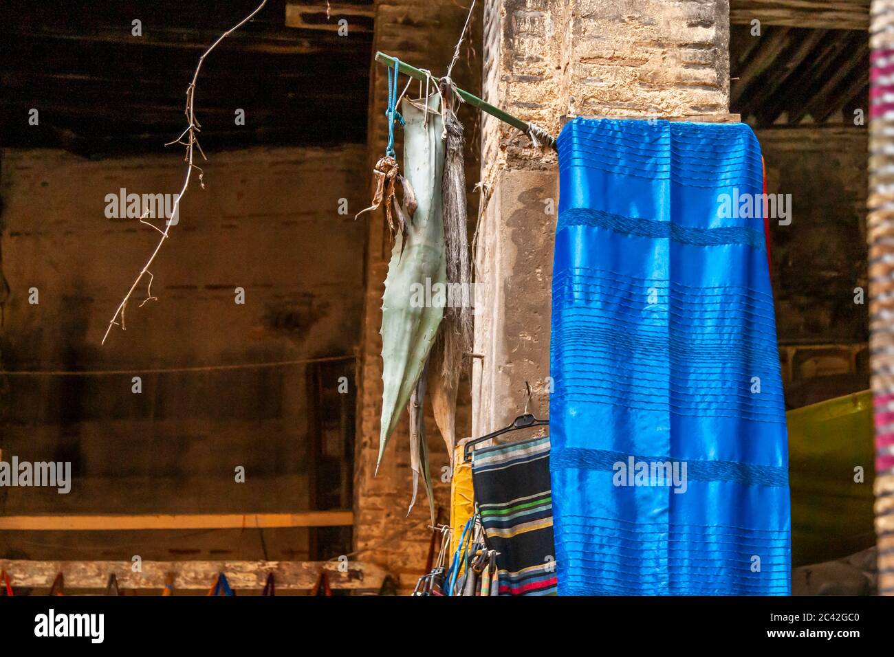 Agave fiber hi-res stock photography and images - Alamy