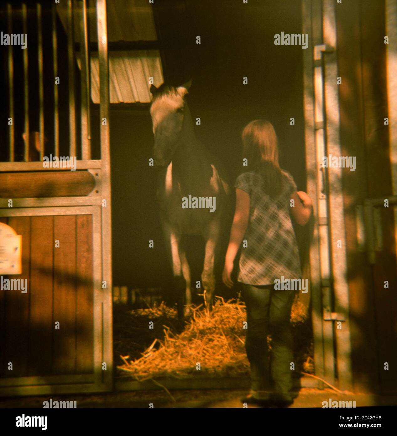 Girl with horse in the stable Stock Photo - Alamy