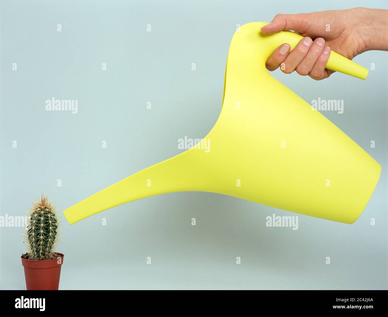 Watering tiny plants hi-res stock photography and images - Alamy
