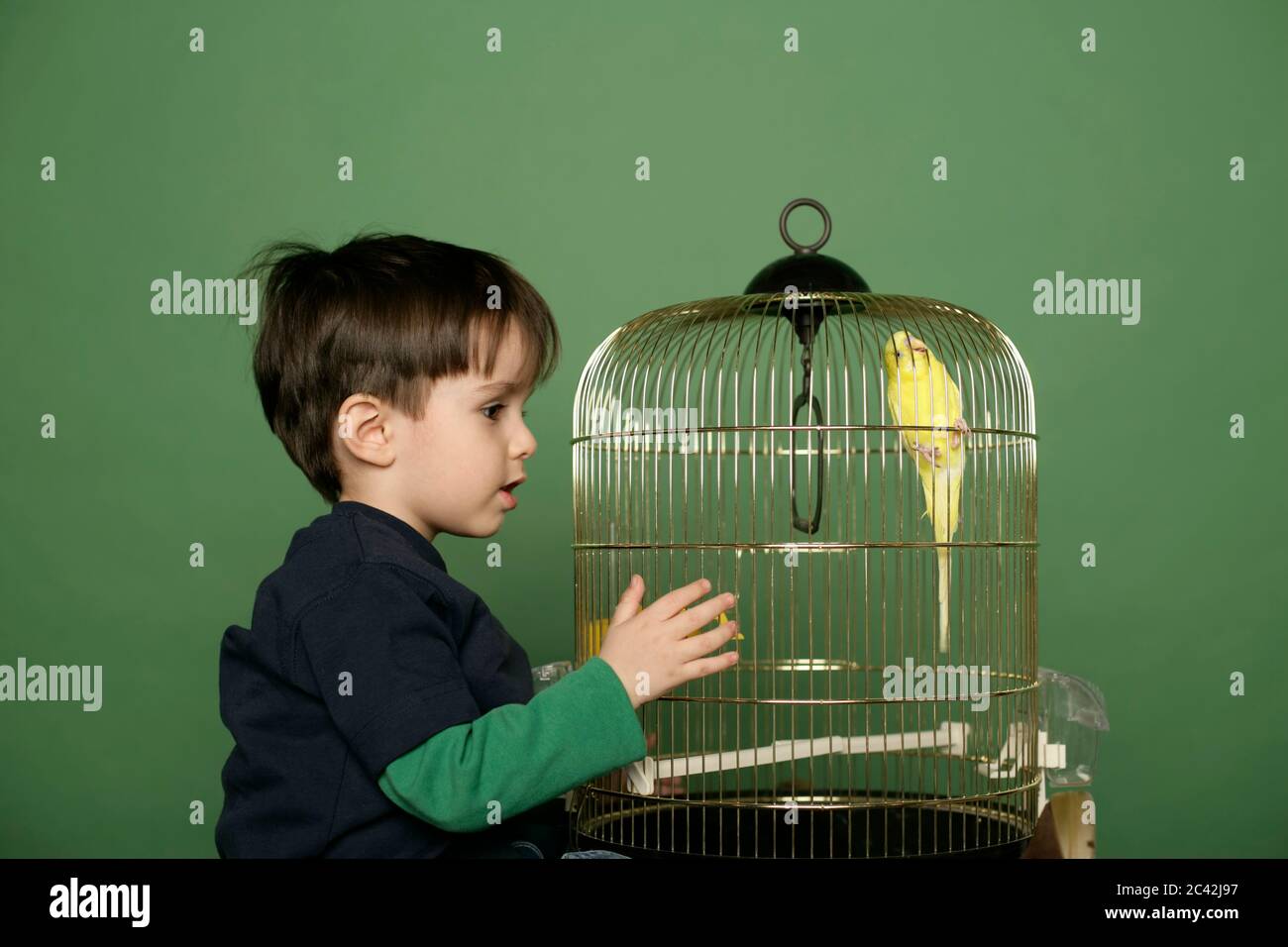 Child bird cage hi-res stock photography and images - Alamy