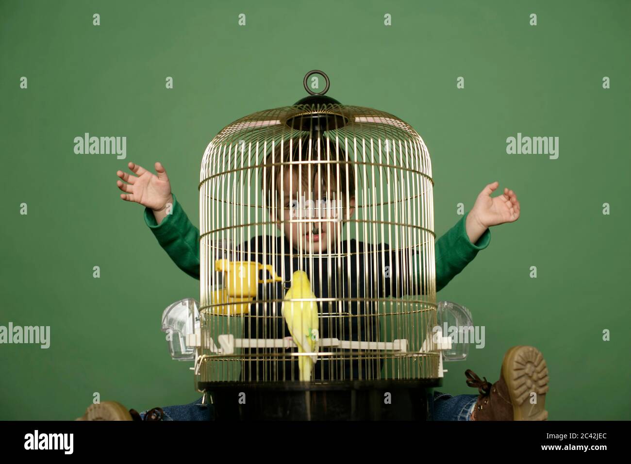 Behind the cage hi-res stock photography and images - Alamy