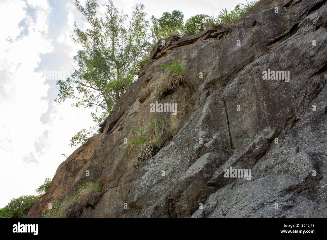 Exploded view tree hi-res stock photography and images - Alamy