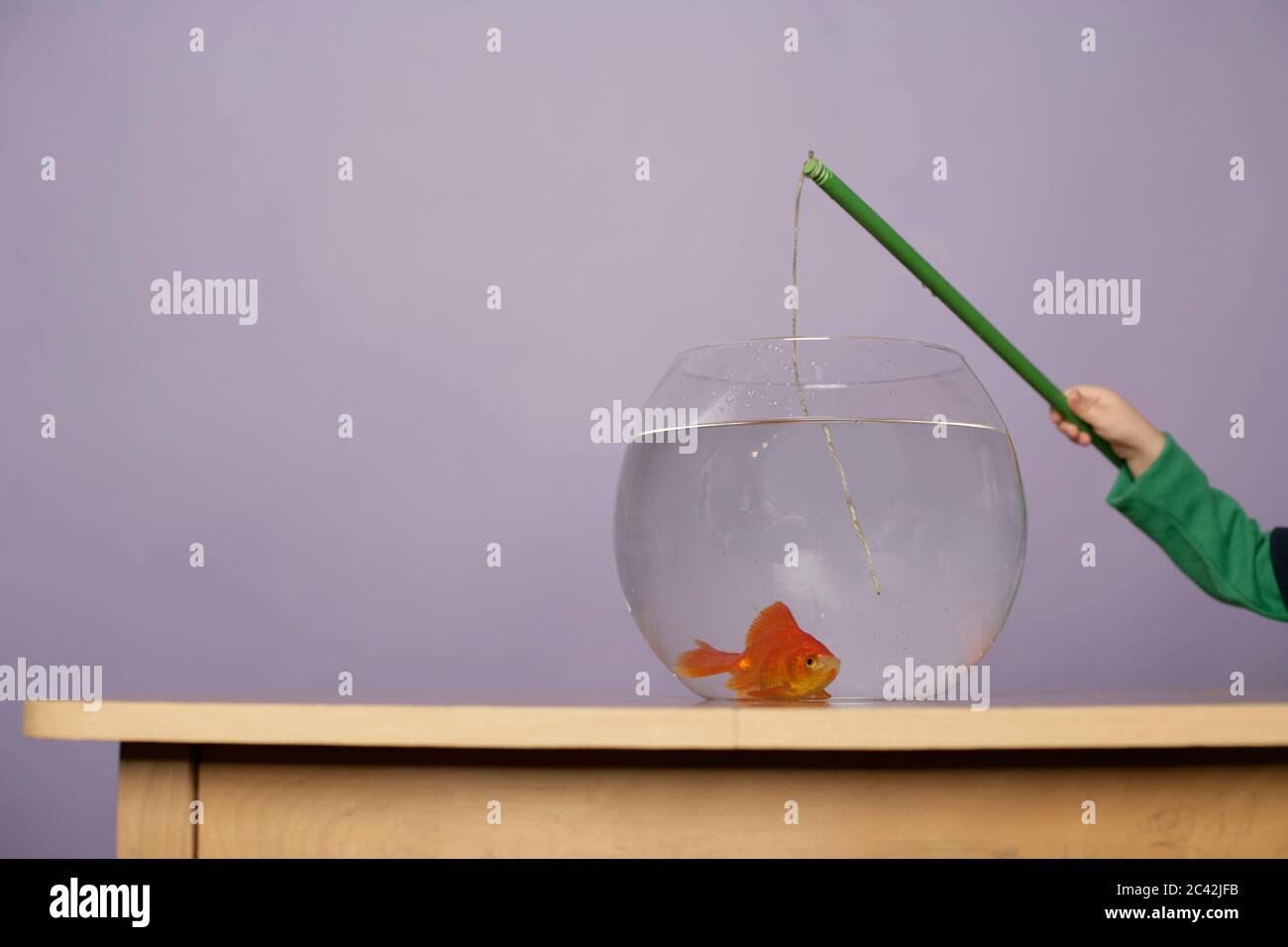 The goldfish boy hi-res stock photography and images - Alamy