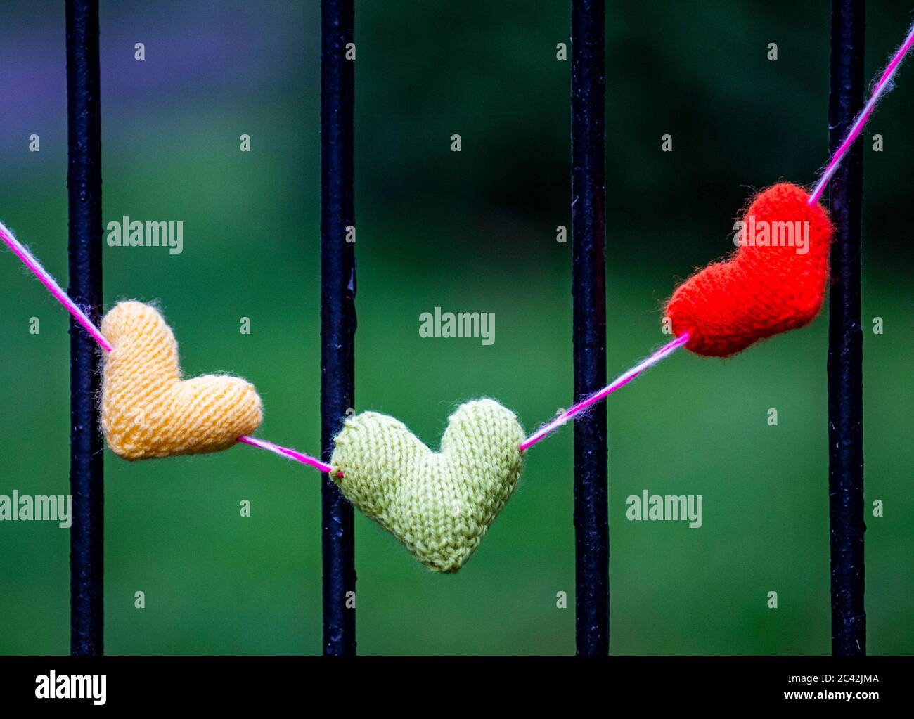 Wollen fabric hi-res stock photography and images - Alamy