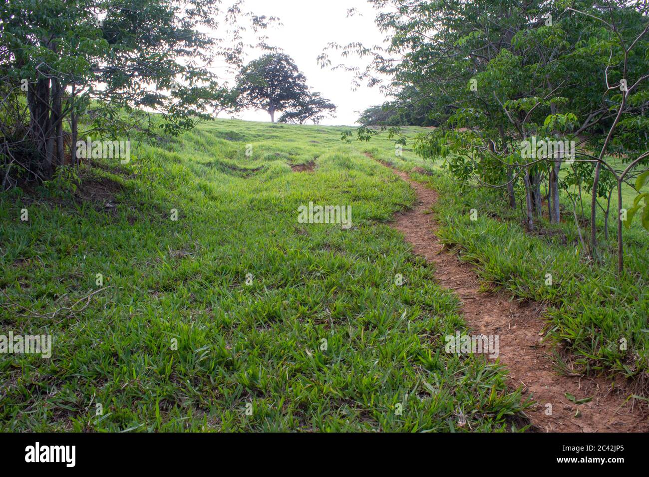 Rounded trail hi-res stock photography and images - Alamy