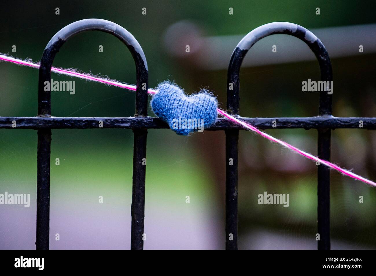 Wollen fabric hi-res stock photography and images - Alamy