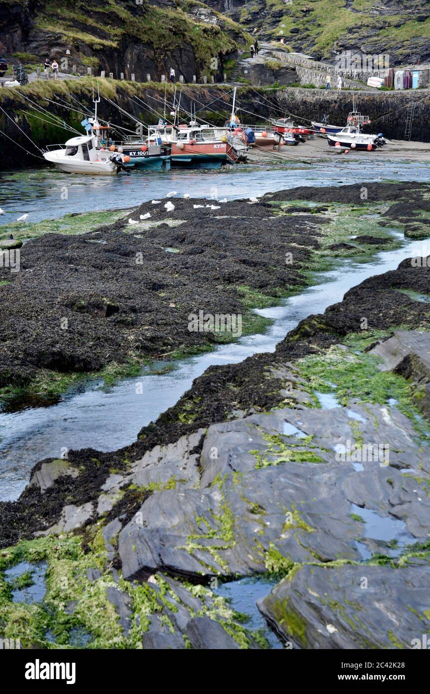 boscastle cornwall england Stock Photo - Alamy