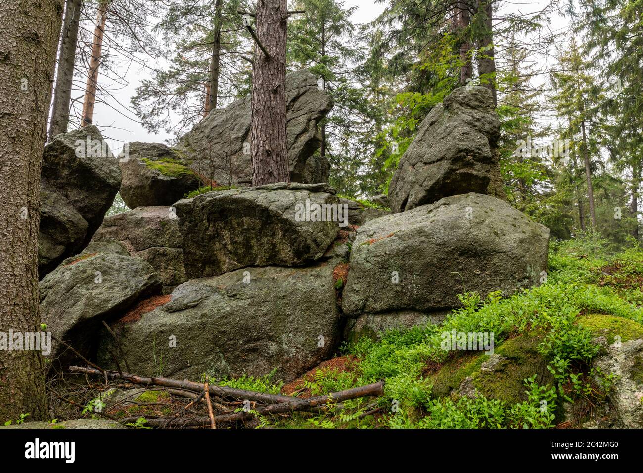 Rocks and large boulders in the woods in the mountains. Rocky terrain ...