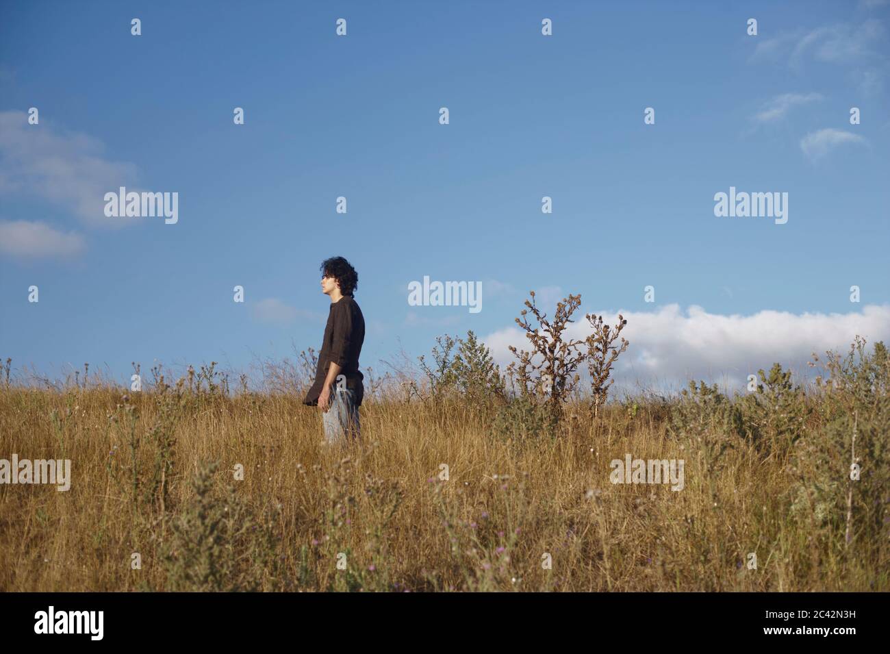 Young man is standing in a high grass field Stock Photo - Alamy