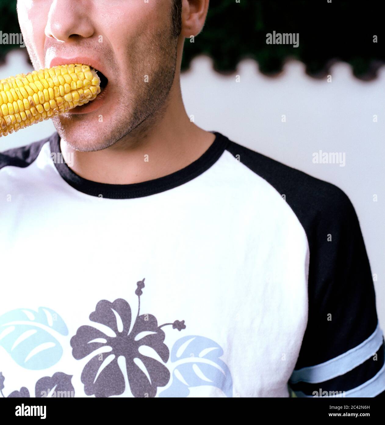 Young man (sliced) eats corn on the cob - grill party Stock Photo - Alamy