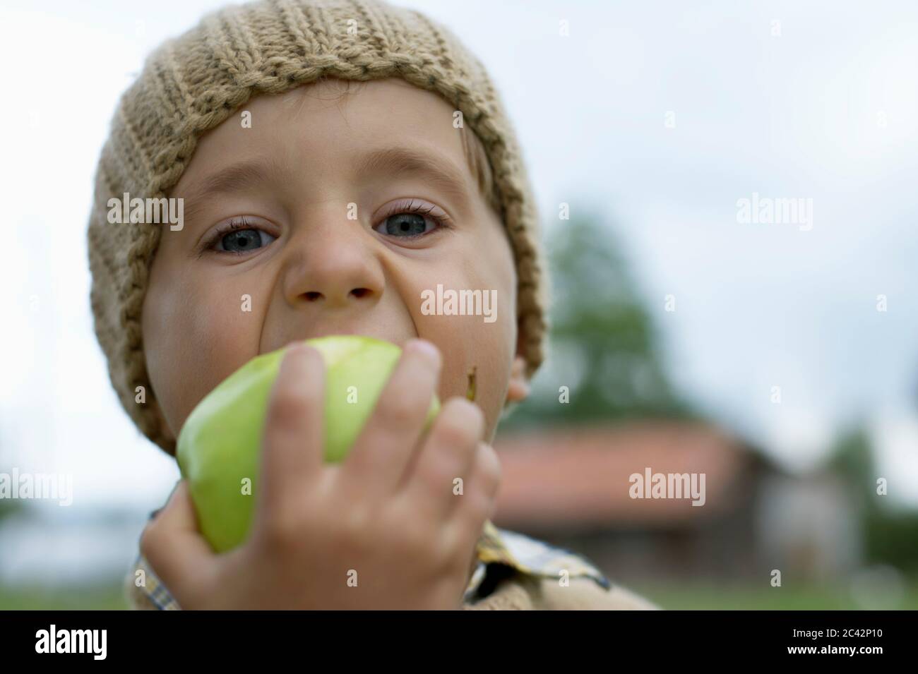 Boy bites an apple Stock Photo - Alamy