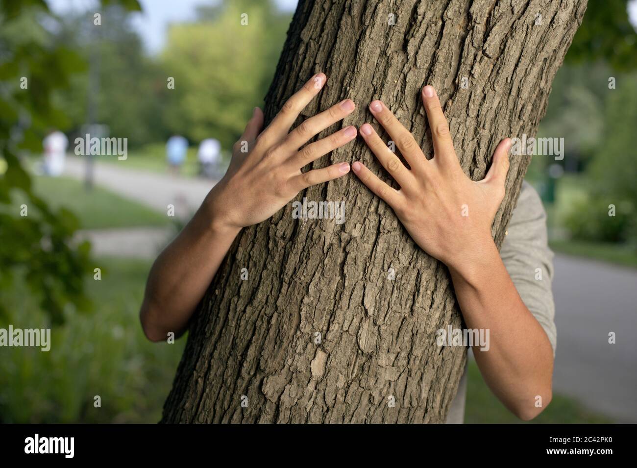 Hands on a tree trunk Stock Photo - Alamy