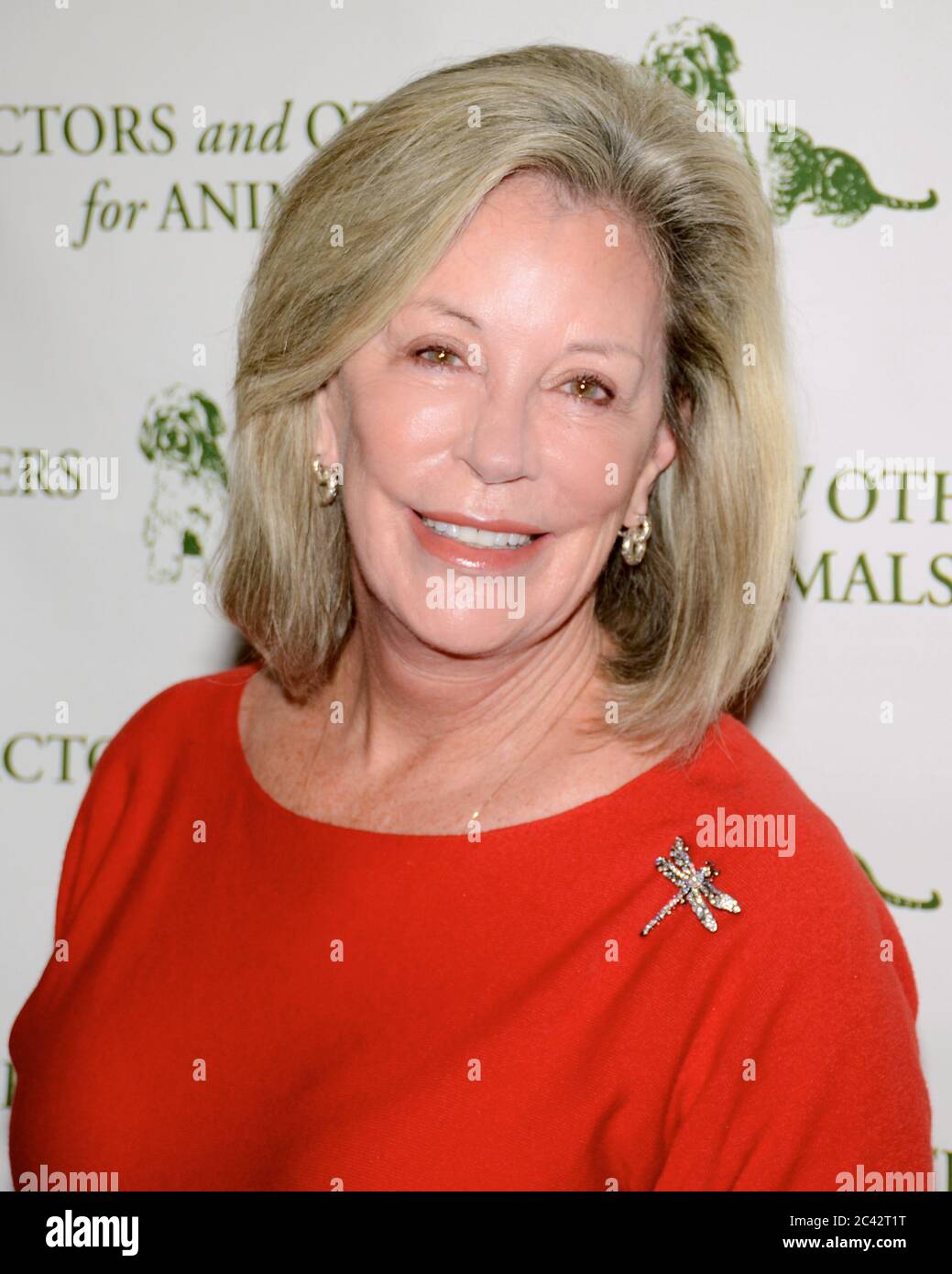 Sarah purcell hi-res stock photography and images - Alamy