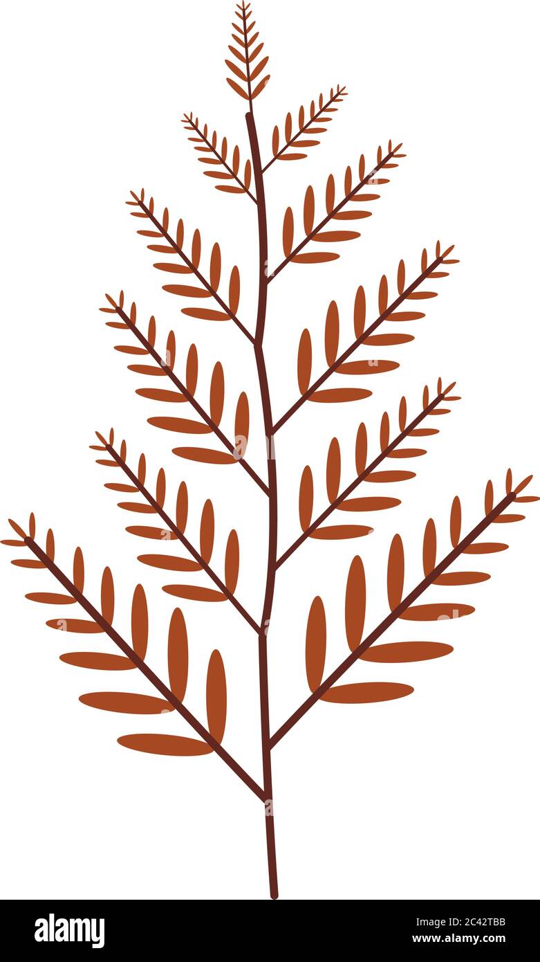 Isolated natural leaf design of Floral nature plant garden ornament ...