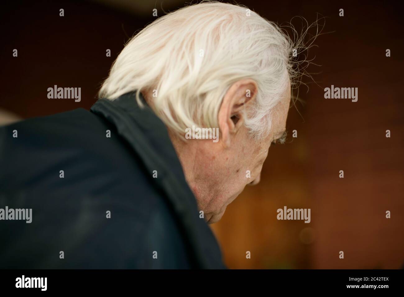 White-haired old man from behind - people - old age - posture Stock ...
