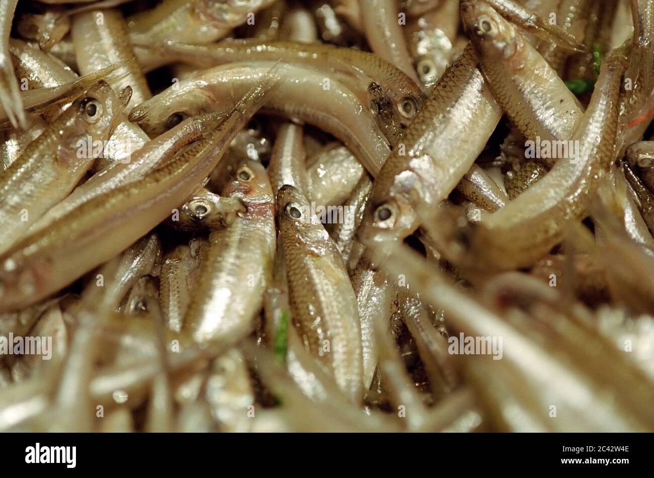 Fresh anchovies - fish market Stock Photo - Alamy