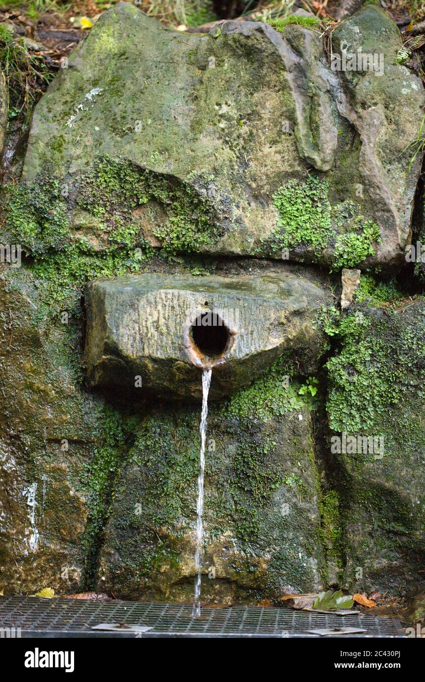 Drinking water source in Horn-Bad Meinberg, North Rhine-Westphalia ...