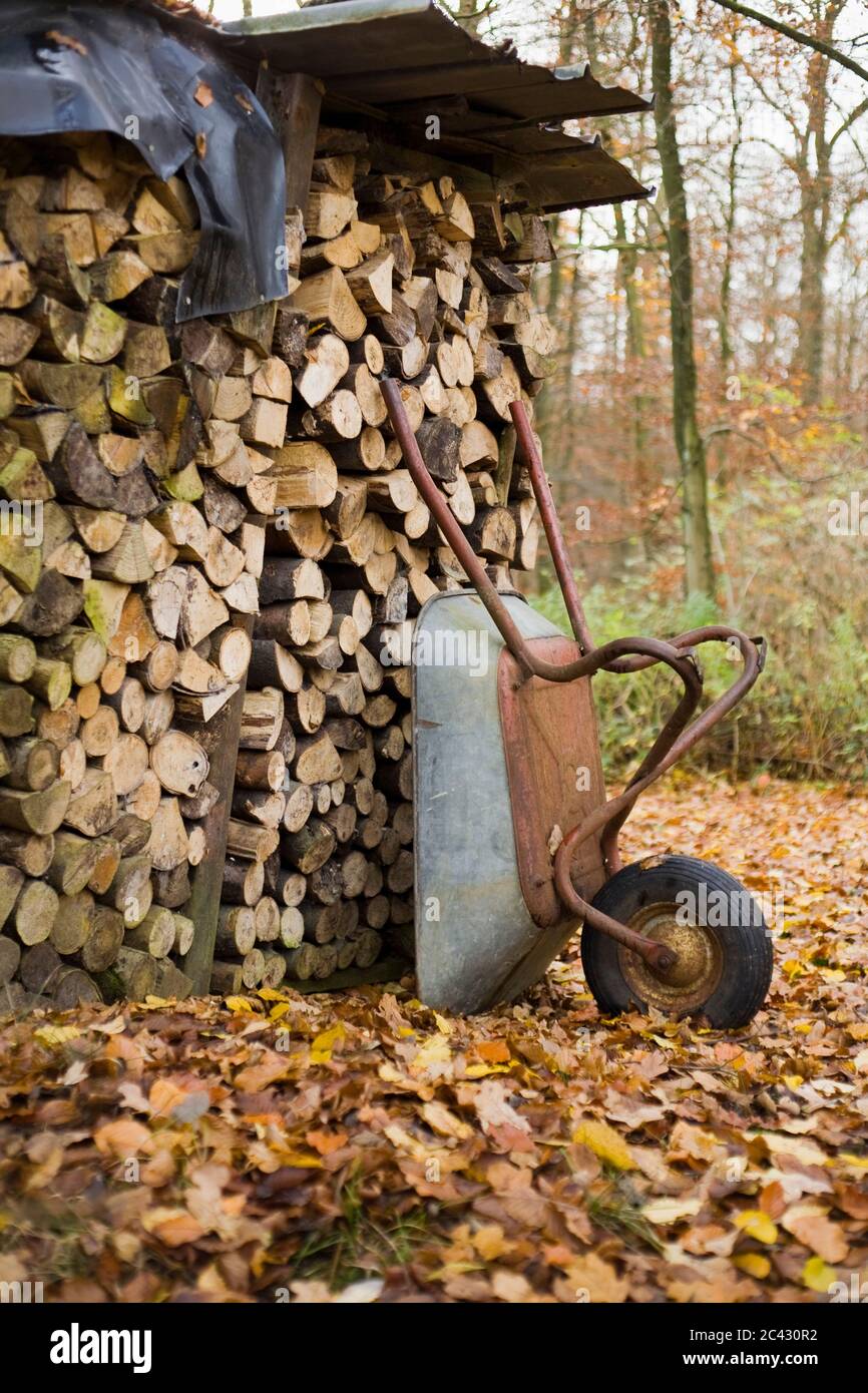 Stack of wood with wheelbarrow, Horn-Bad Meinberg, North Rhine ...