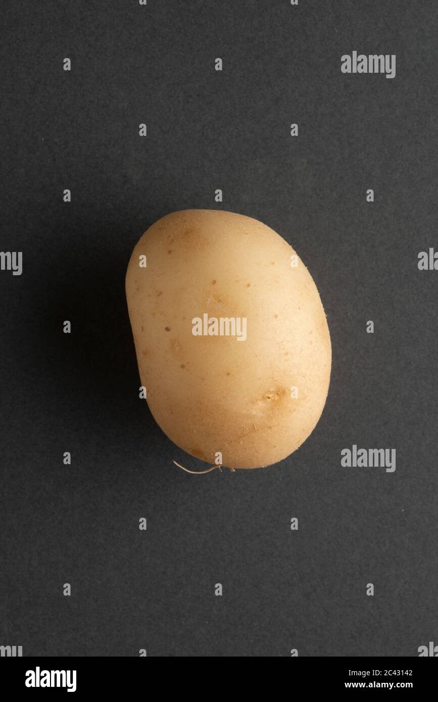 Potato plant black hi-res stock photography and images - Alamy