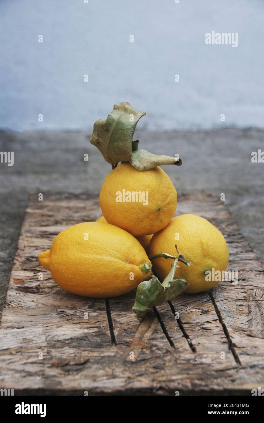 Lemons in the sunshine Stock Photo - Alamy