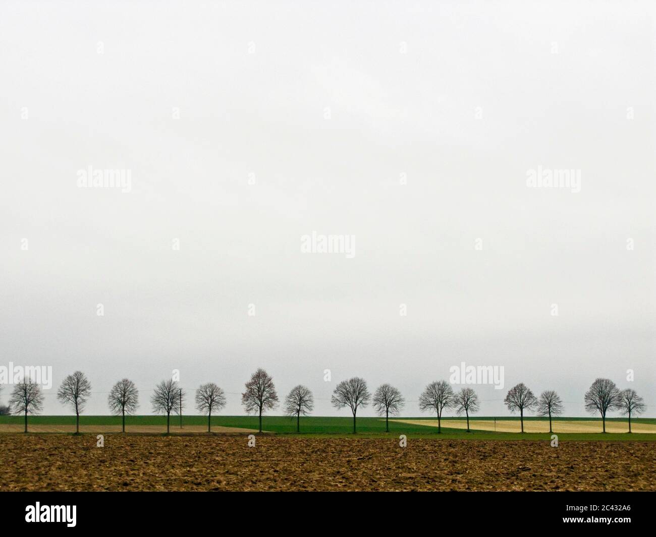 Trees next to a field Stock Photo - Alamy