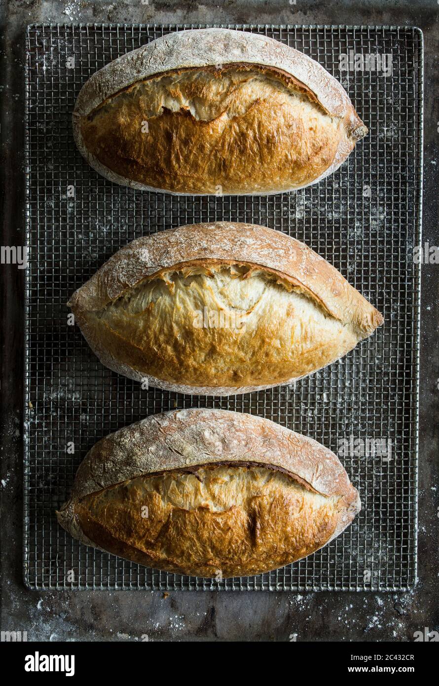 Bagatta hi-res stock photography and images - Alamy