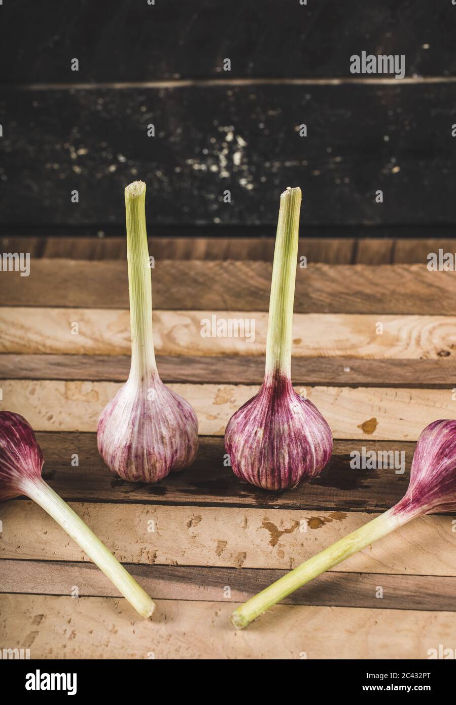 Pink garlic gloves standing on a black background Stock Photo - Alamy