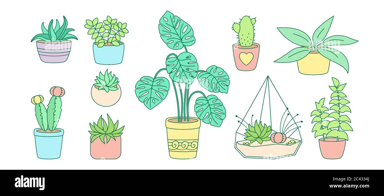 Plant and succulents, potted ceramic flat line set. Color linear ...
