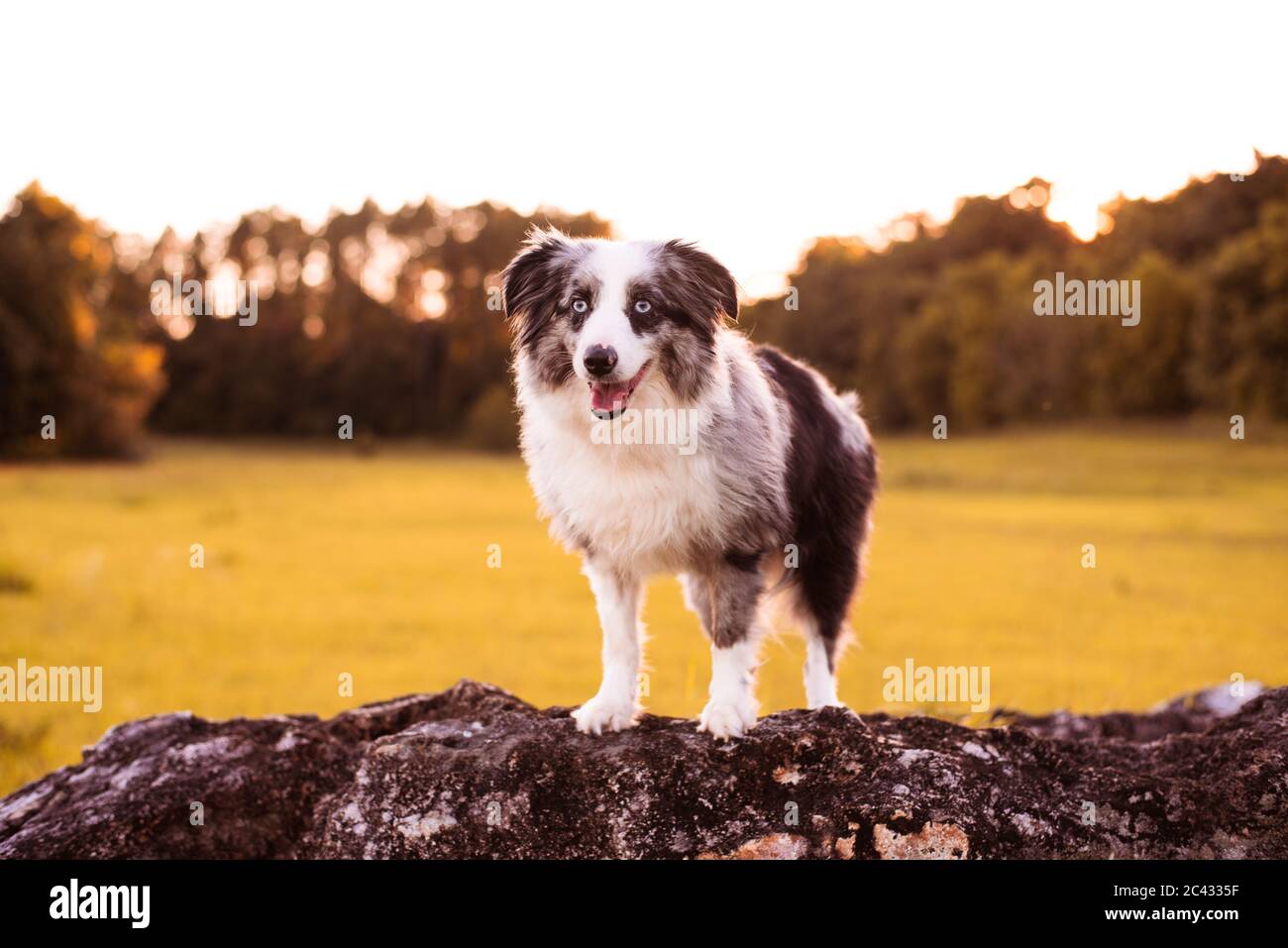 Aussie outdoors hi-res stock photography and images - Alamy