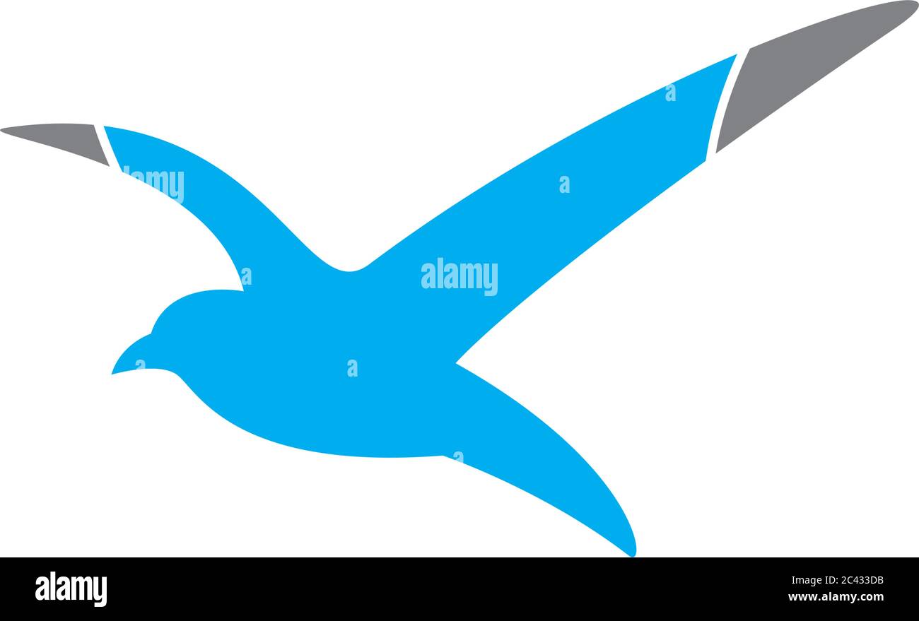 Flying tern drawing hi-res stock photography and images - Alamy
