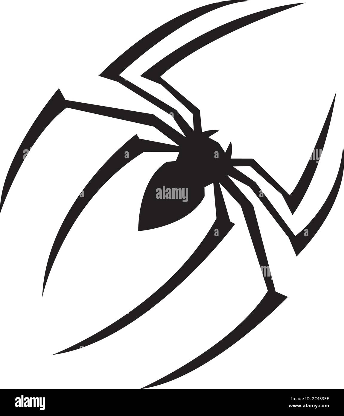 Spider back pattern Black and White Stock Photos & Images - Alamy