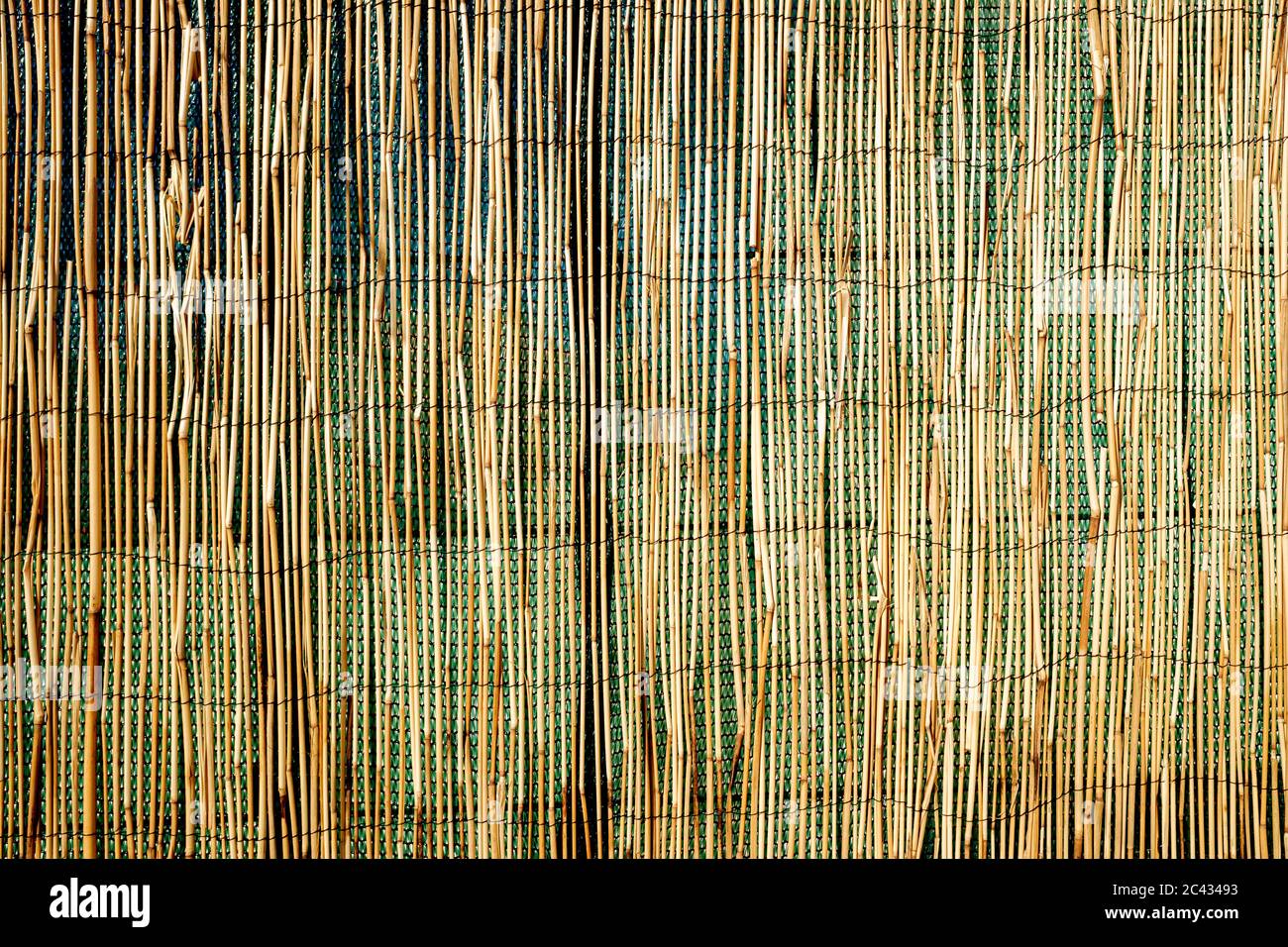 Outdoor terrace decoration background with bamboo sticks Stock Photo ...