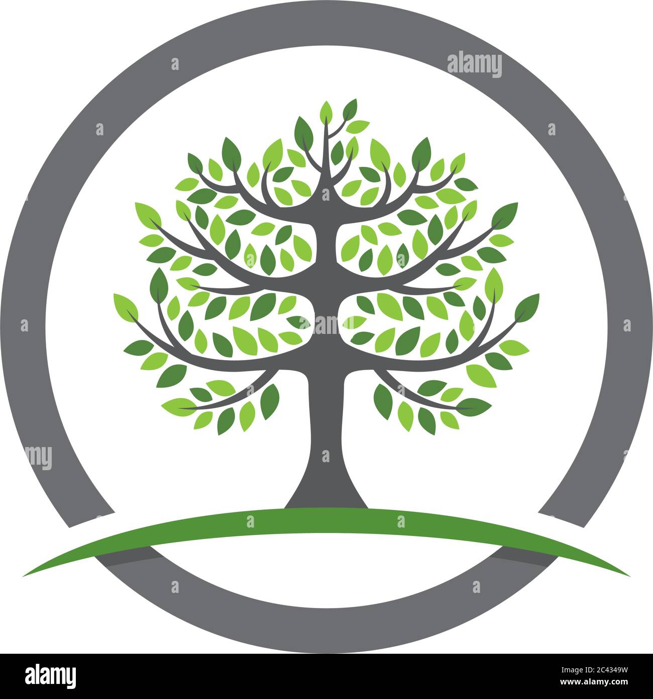 Tree vector icon illustration design Stock Vector Image & Art - Alamy