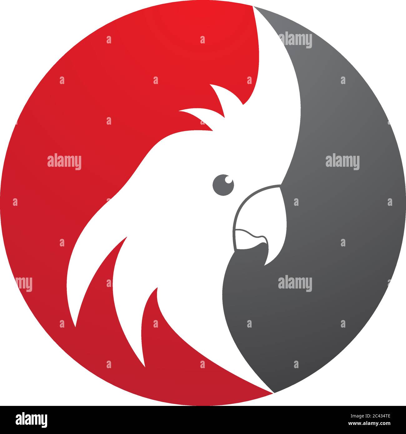 Parrot logo vector illustration Stock Vector Image & Art - Alamy