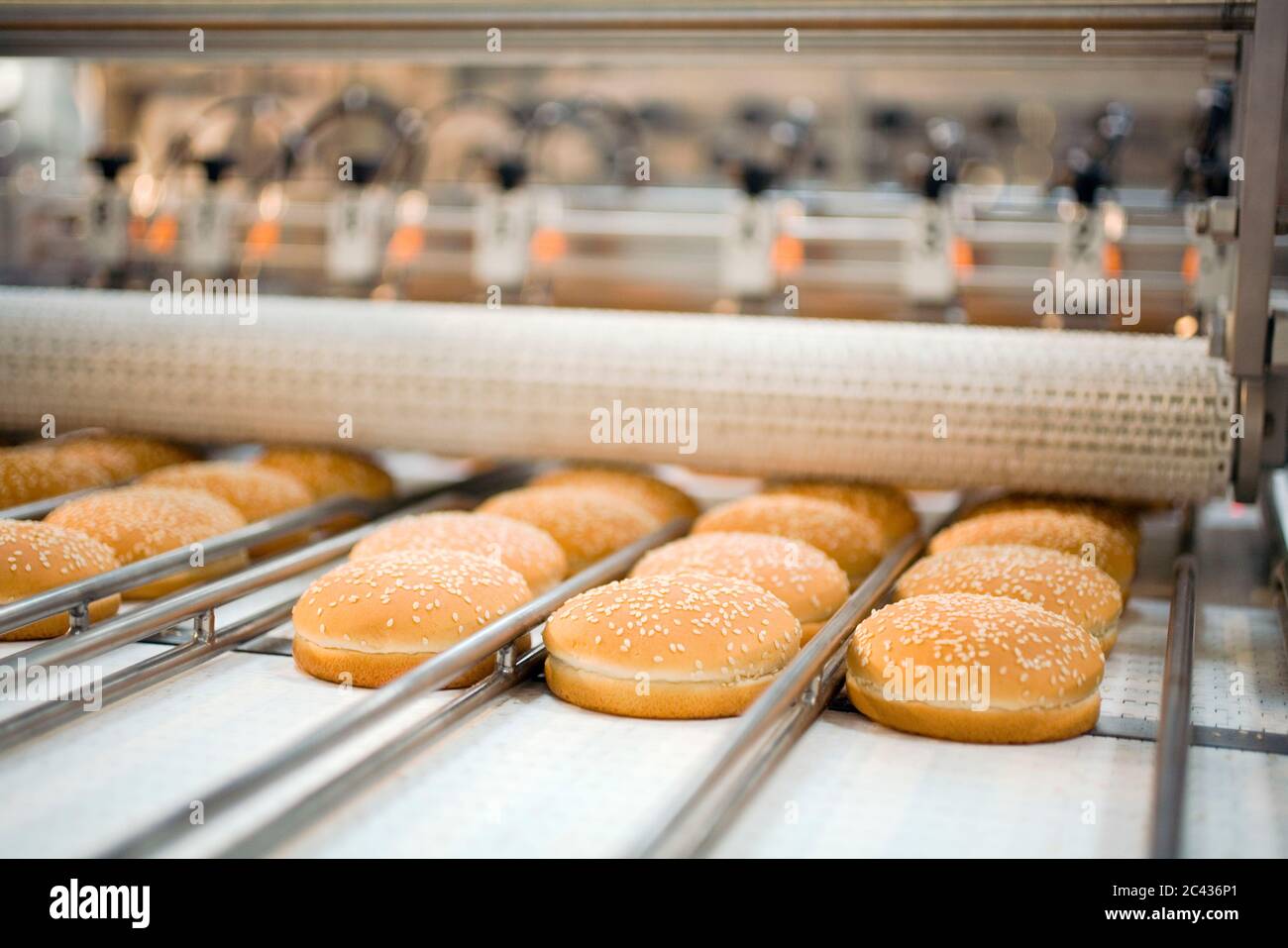 Baking industry, buns Stock Photo - Alamy