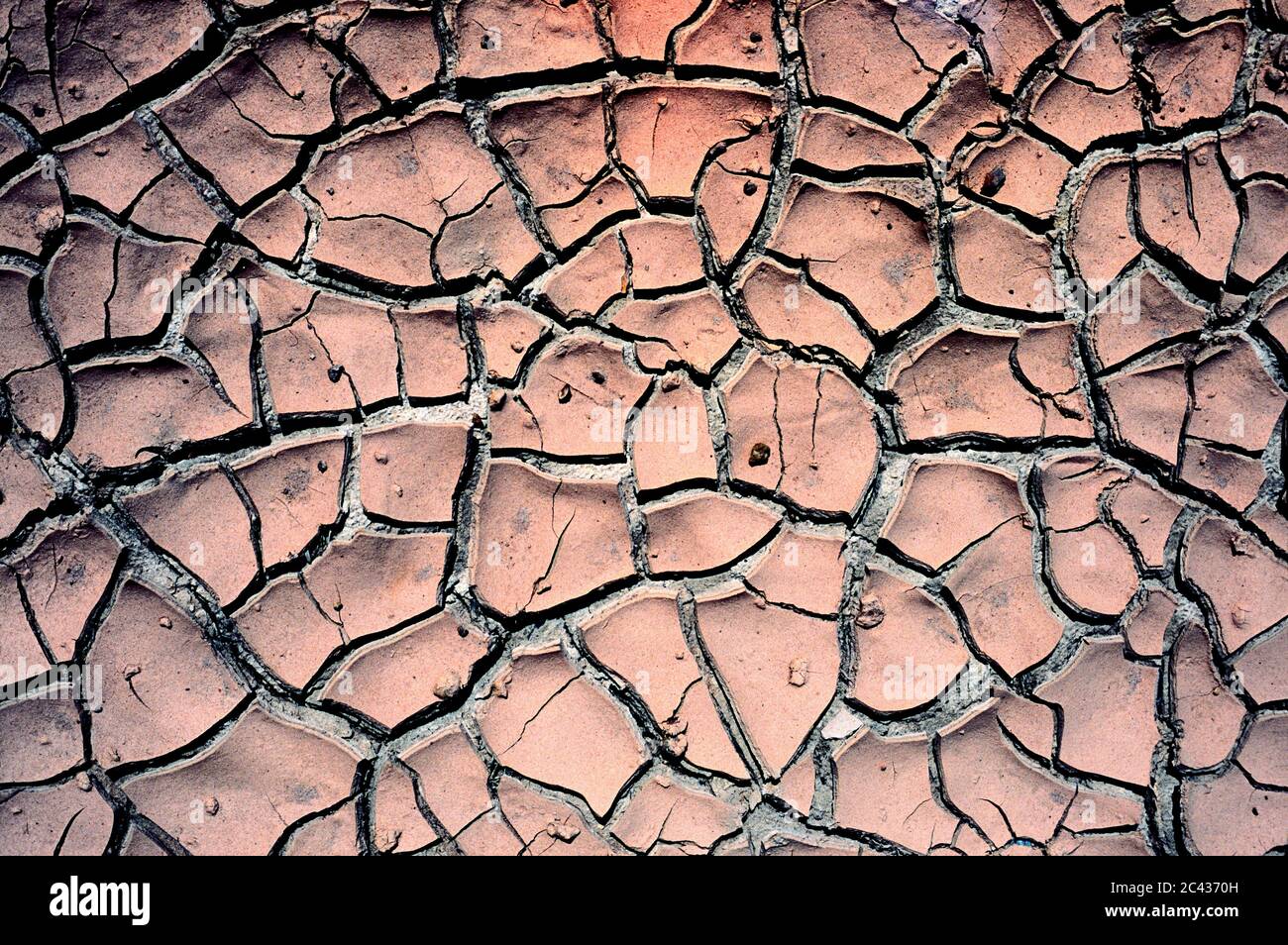 Dried clay soil - drought - nature - landscape Stock Photo - Alamy