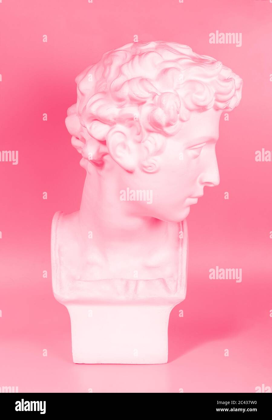 Pink background of David sculpture Giuliano de' Medici Stock Photo - Alamy