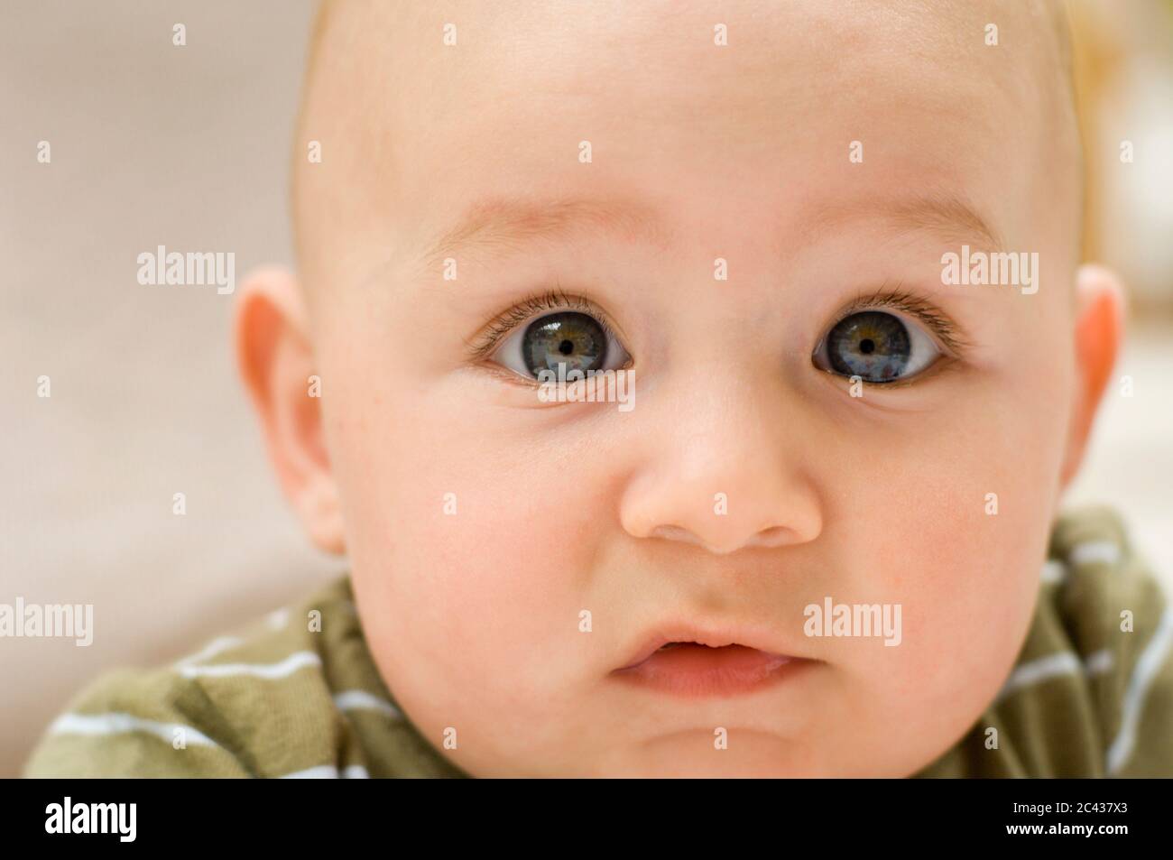 Baby looks curiously into the camera, portrait Stock Photo - Alamy
