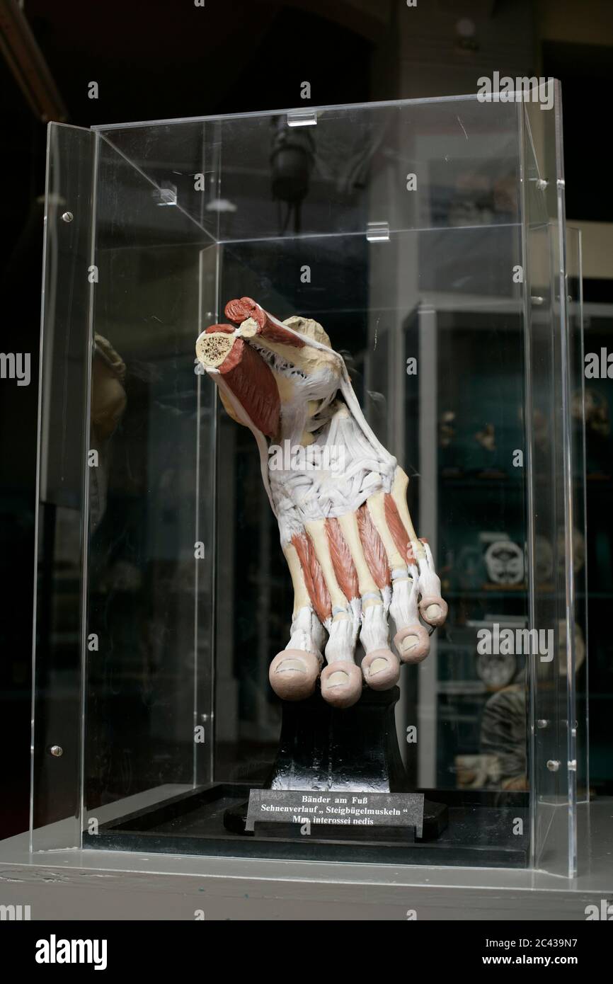 Foot skin colour hi-res stock photography and images - Alamy