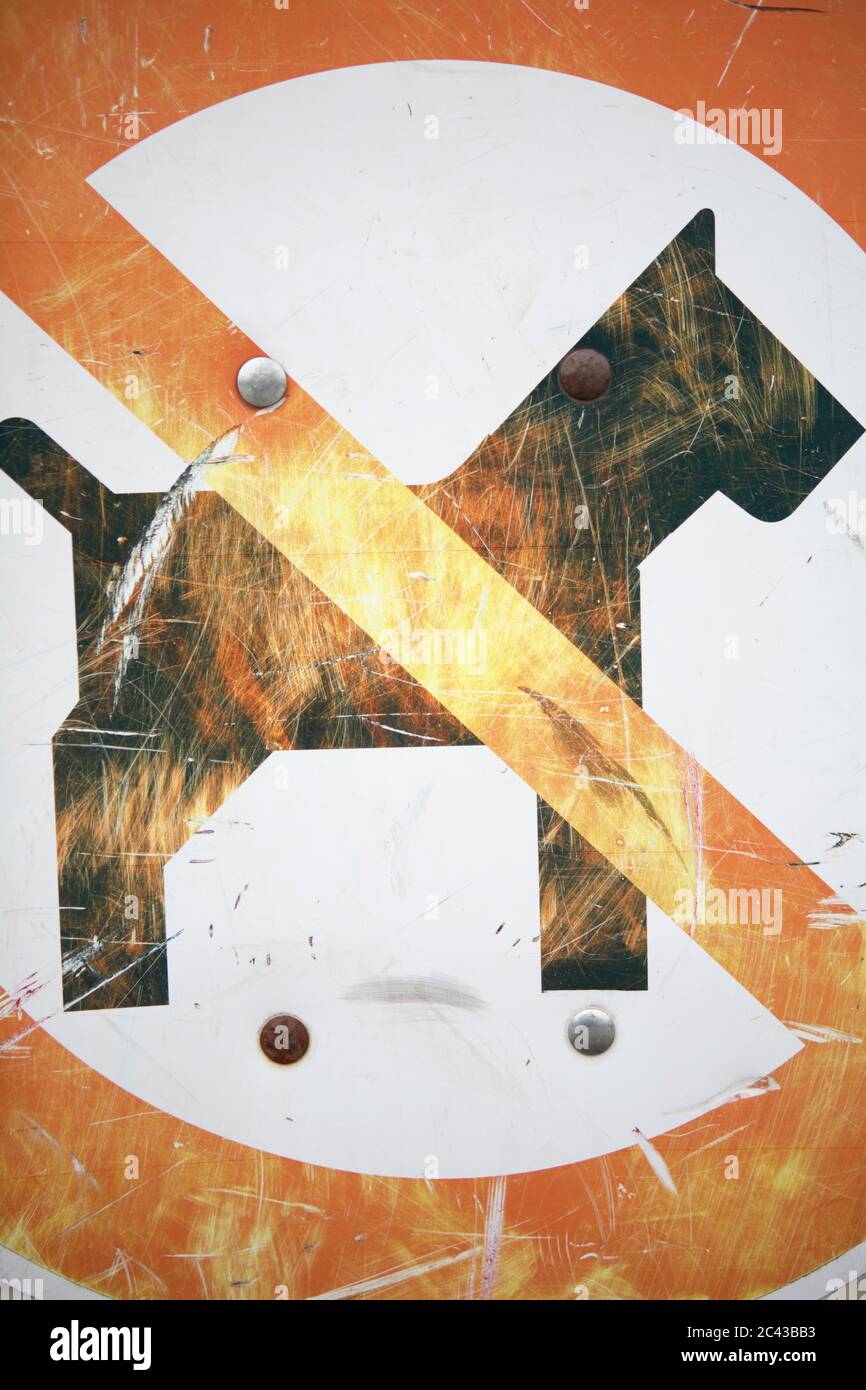 Dogs prohibited sign Stock Photo - Alamy