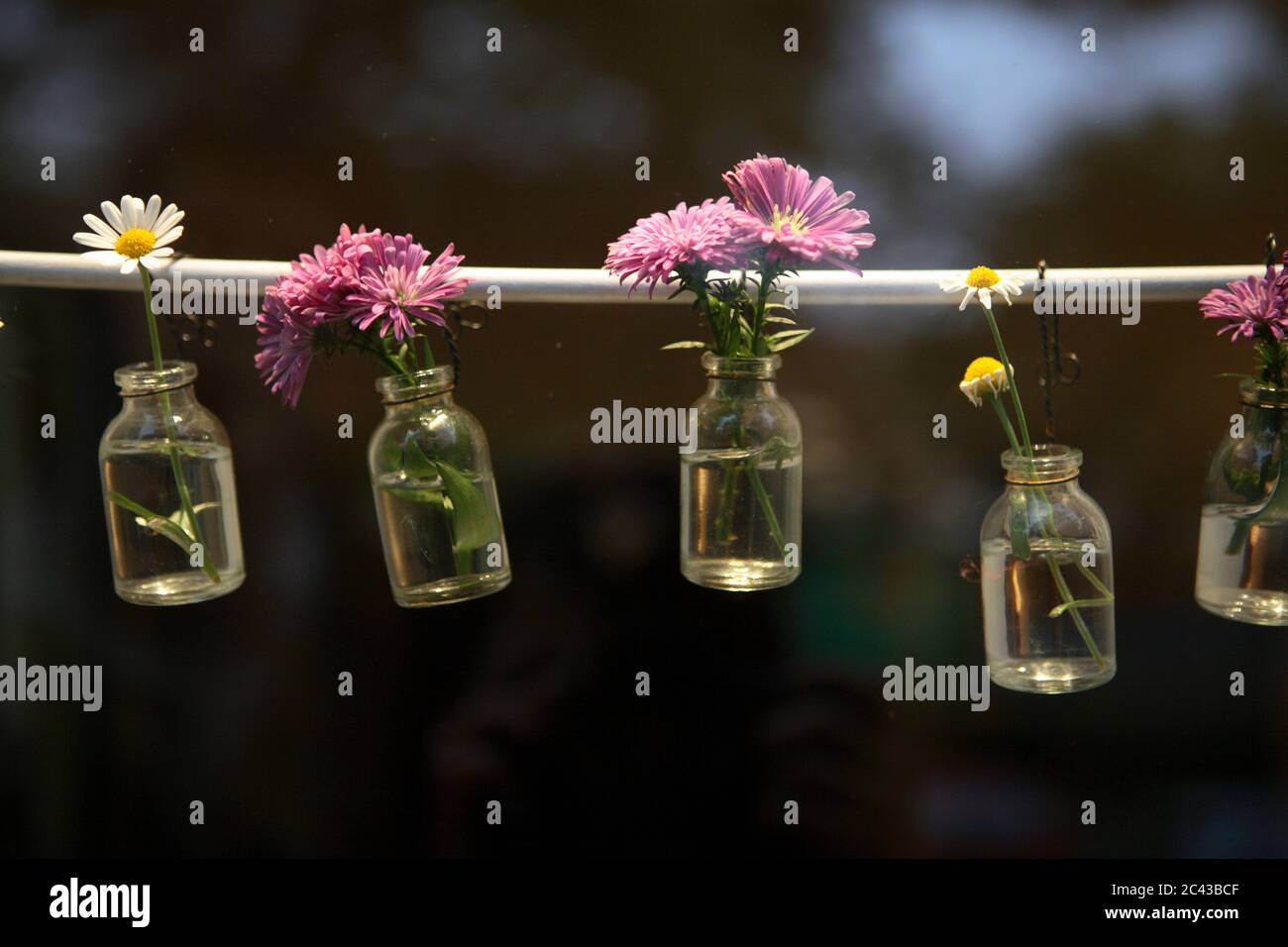 Vial with flowers as a wall decoration Stock Photo - Alamy