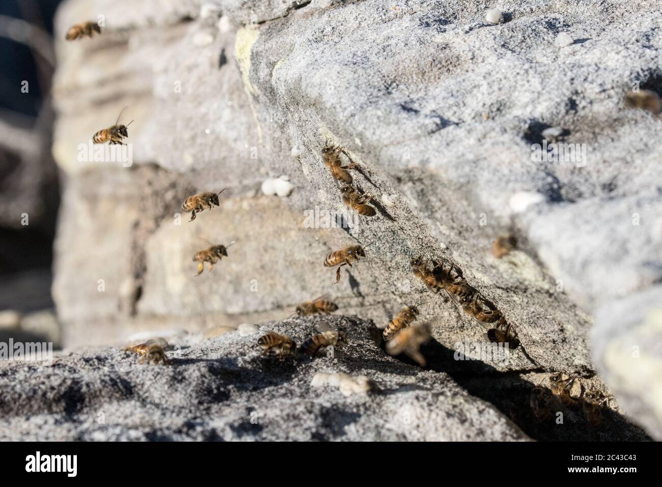 Rock hive hi-res stock photography and images - Alamy