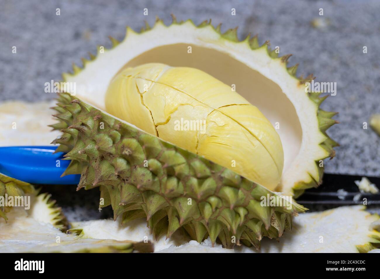 Durian riped and fresh, durian peel with yellow colour. King of fruits Stock Photo - Alamy