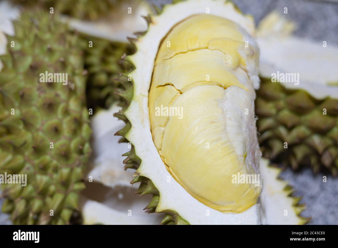 Durian riped and fresh, durian peel with yellow colour. King of fruits ...