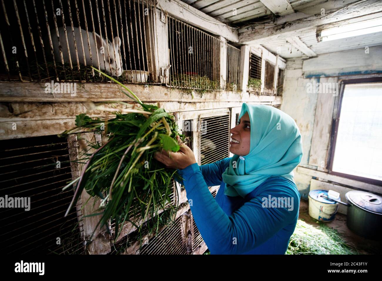 Rabbit hutch indoors hi-res stock photography and images - Alamy